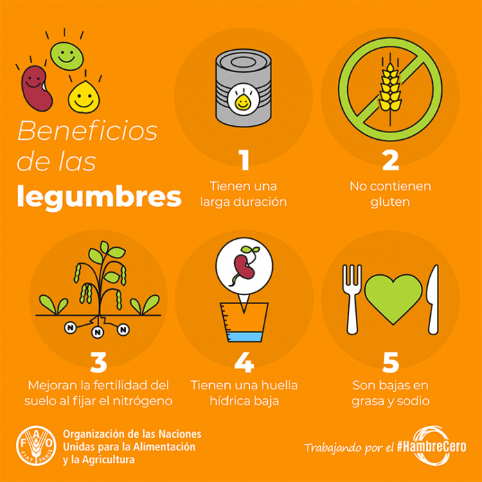 Día Mundial de las Legumbres, semillas para un mundo sostenible